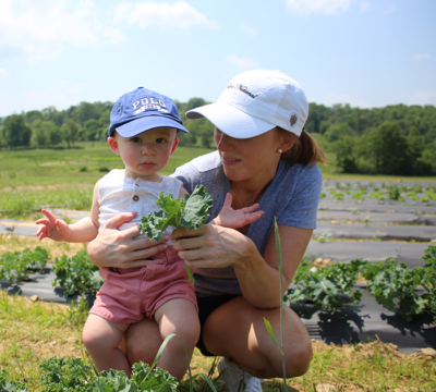Volunteer - The JK Community Farm