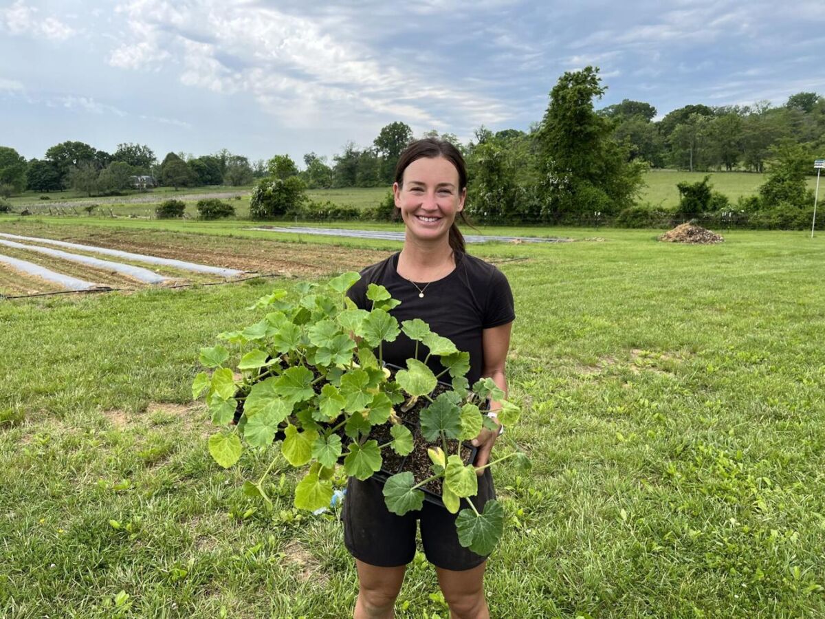 Purcellville's JK Community Farm reaches 1 million pounds of food ...